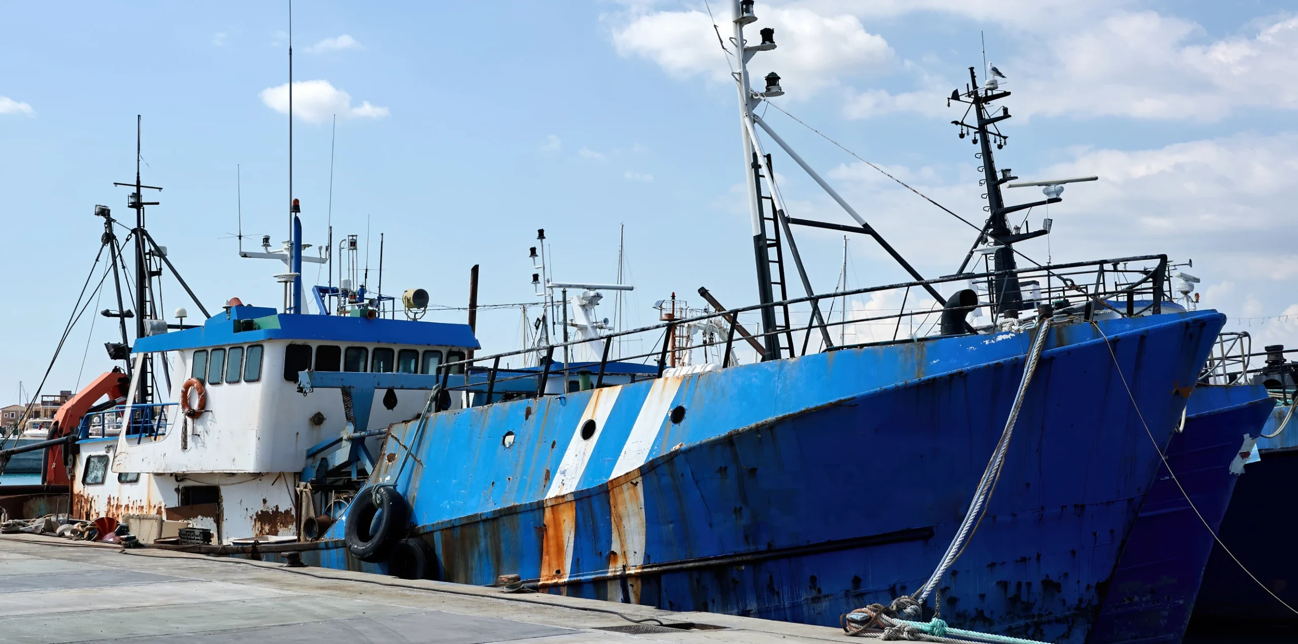 Success Stories & Case Studies | See Our Impact