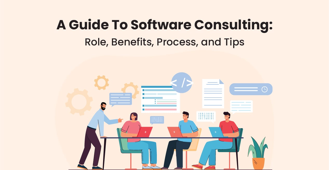 A Guide To Software Consulting - Role, Benefits, Process, and Tips