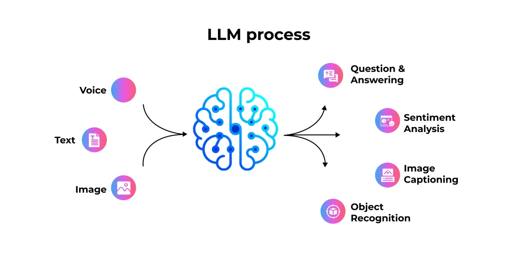 SLM vs LLM: Choosing the Right AI Model for Your Business - Openxcell
